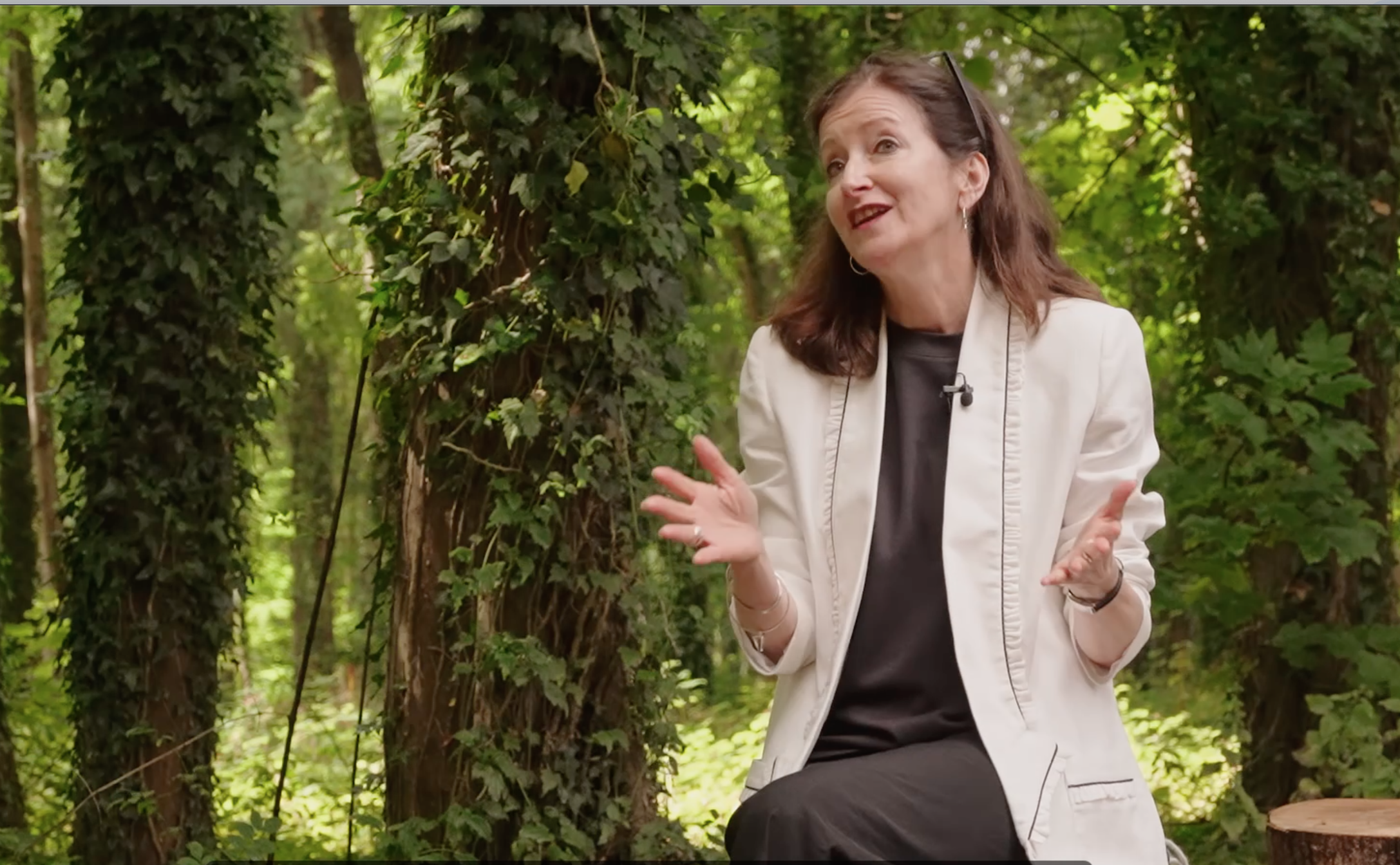 Nancy Holt | Summer Programme 2026 | Goodwood Art Foundation